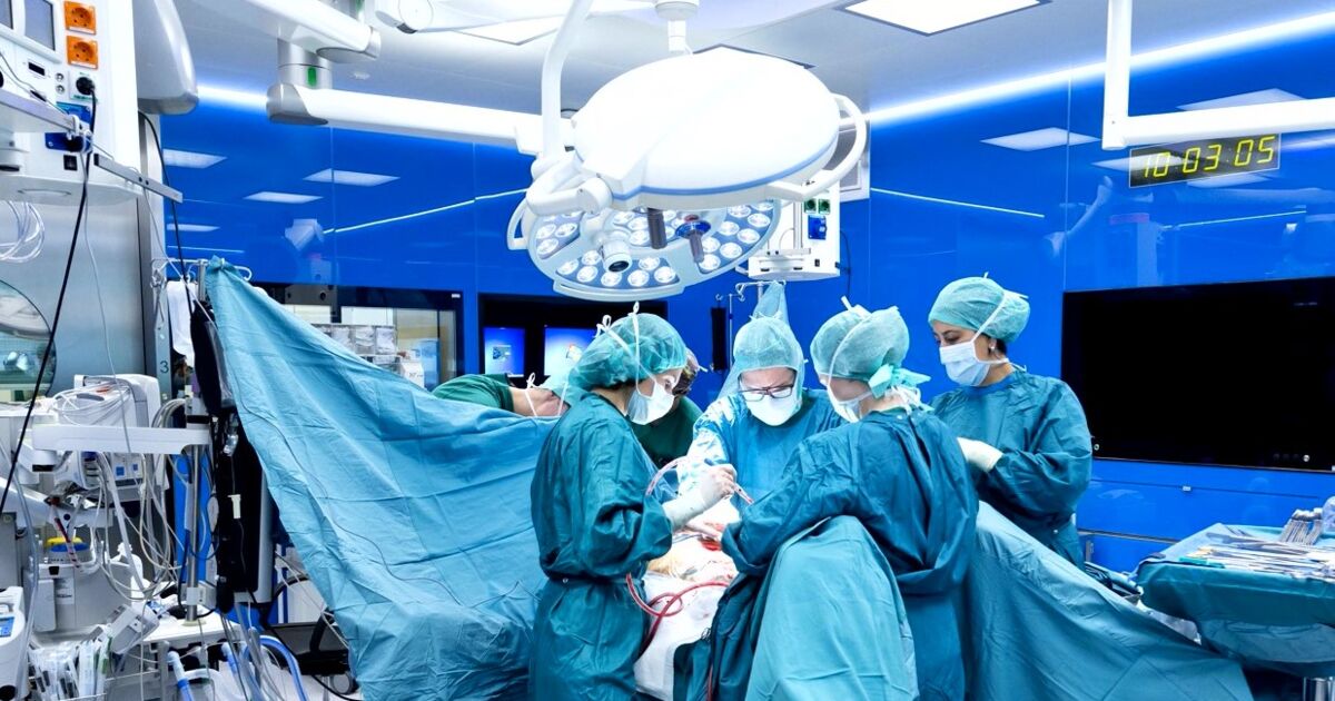 Meisterleistung interdisziplinärer Zusammenarbeit - Vorarlberger ...